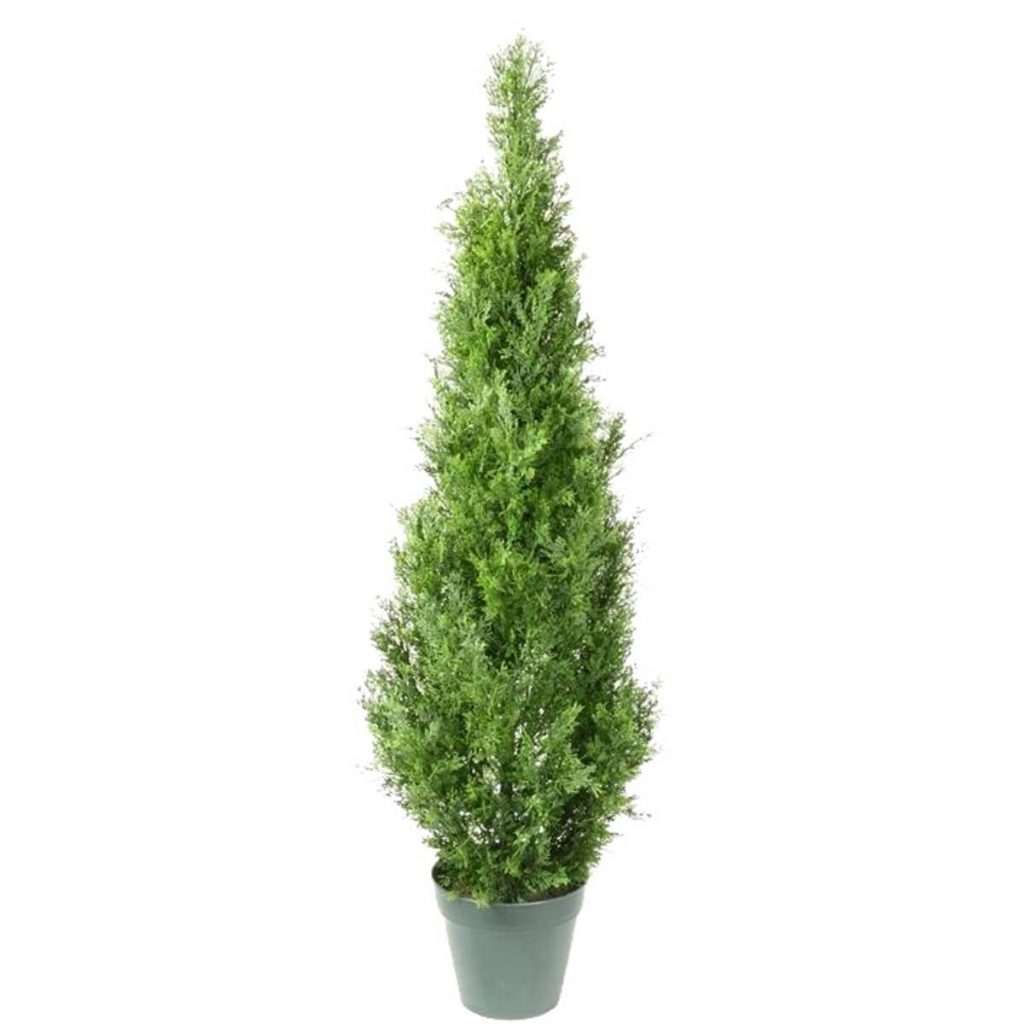 Boxwood Rectangle Hedge - Artificial Greenery