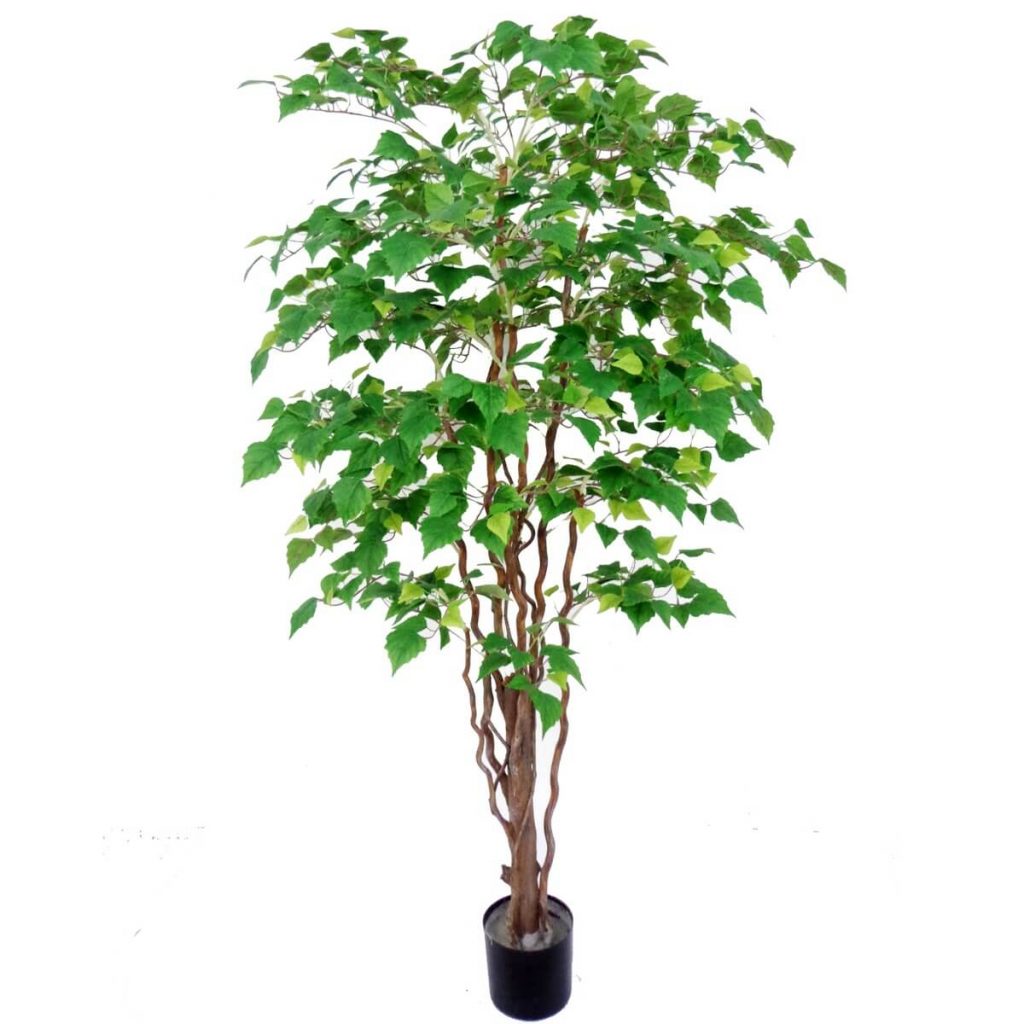 72" Super Deluxe Retusa Ficus Spray (AG-5222/P) - Artificial Greenery